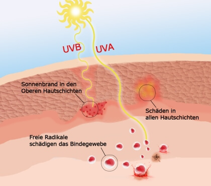 so-wirken-uv-strahlen-auf-unsere-haut-just-deutschland